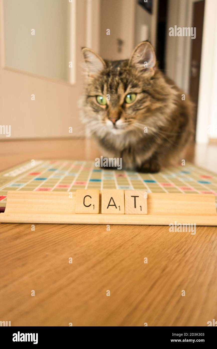 Scrabble board hi-res stock photography and images - Alamy