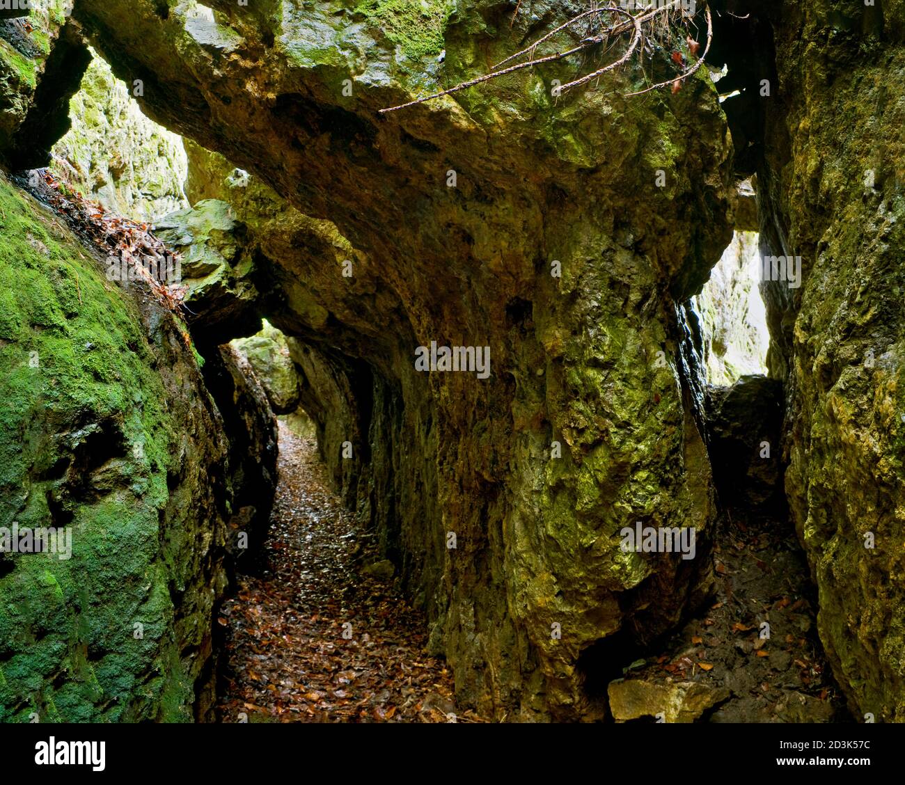 Opencuts hi-res stock photography and images - Alamy