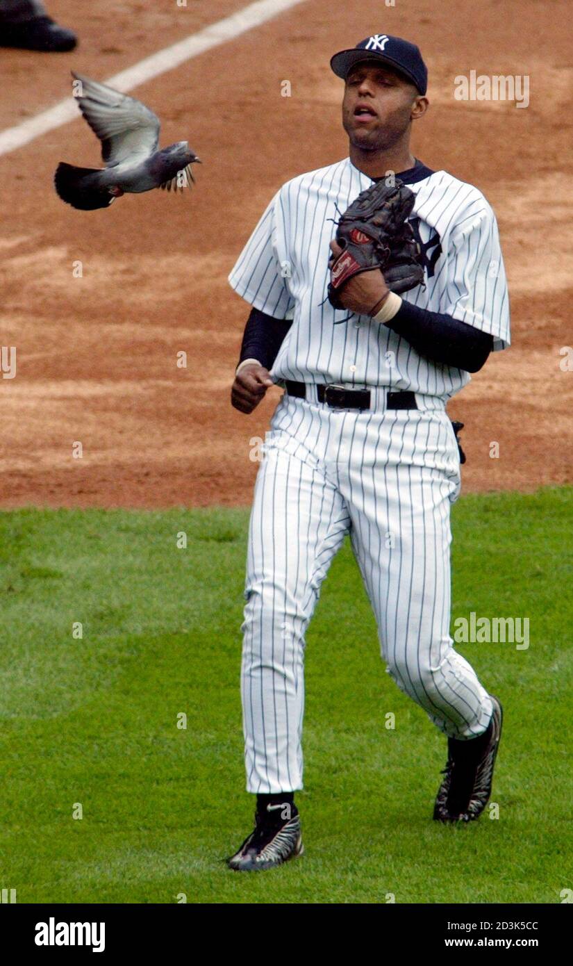 Pesky pigeon hi-res stock photography and images - Alamy