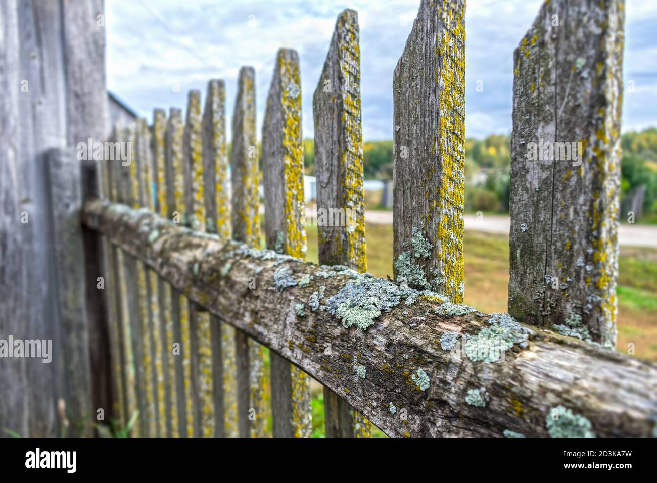 Old and rotten wood fence, overgrown with moss and mold, crooked and ...