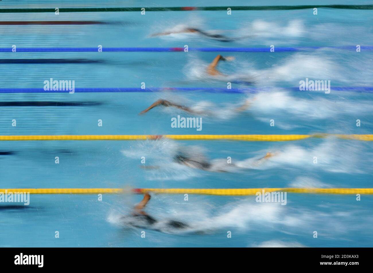 50 metres freestyle hi-res stock photography and images - Alamy