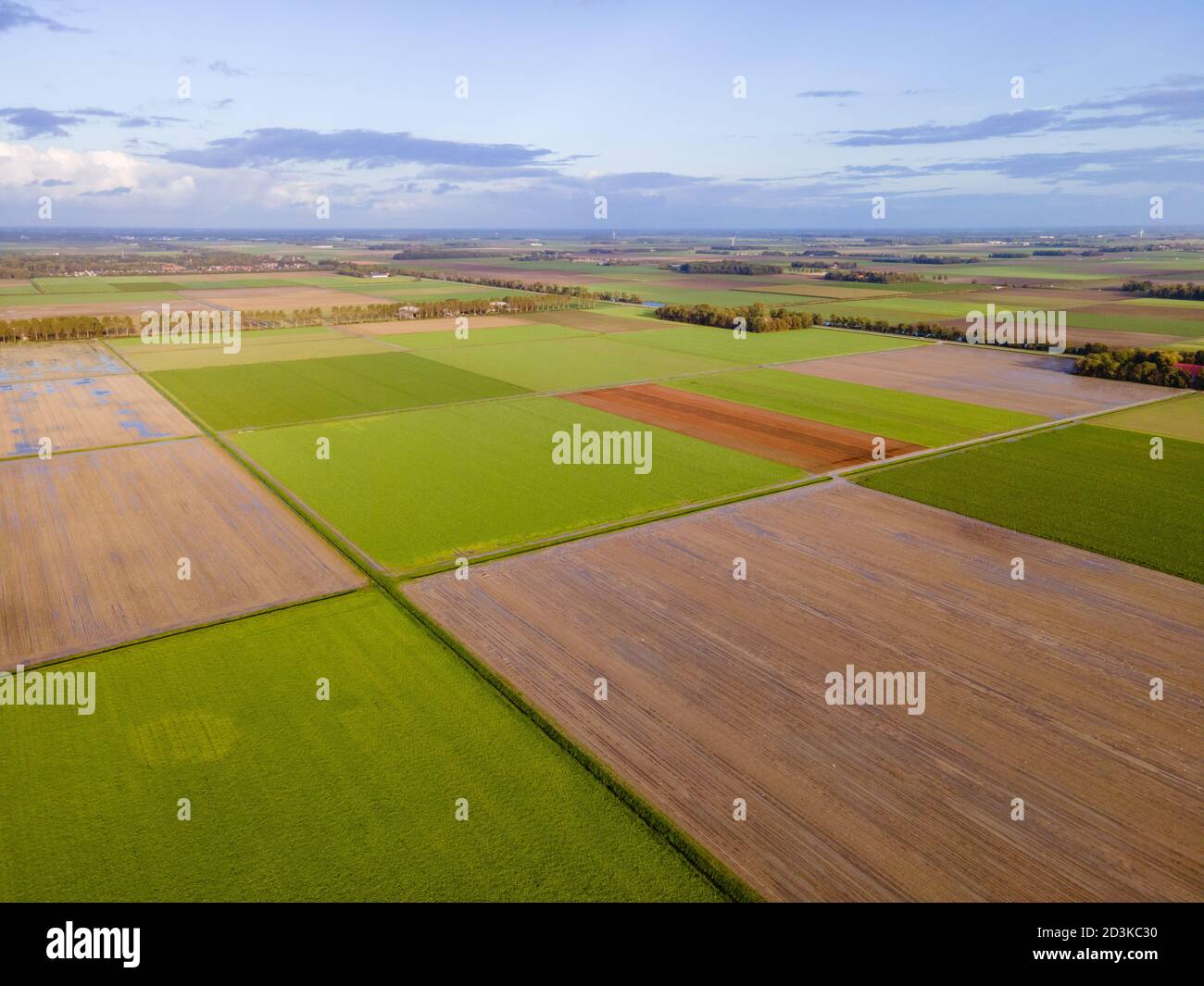clean green meadows in the Netherlands, Aerial drone view of green ...