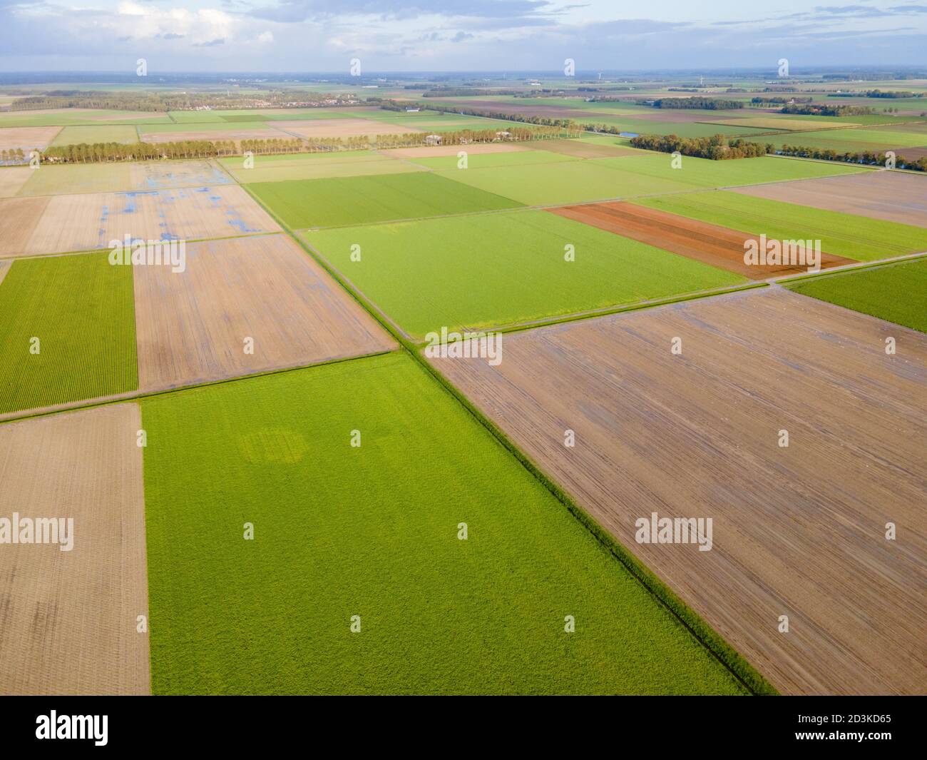 clean green meadows in the Netherlands, Aerial drone view of green ...