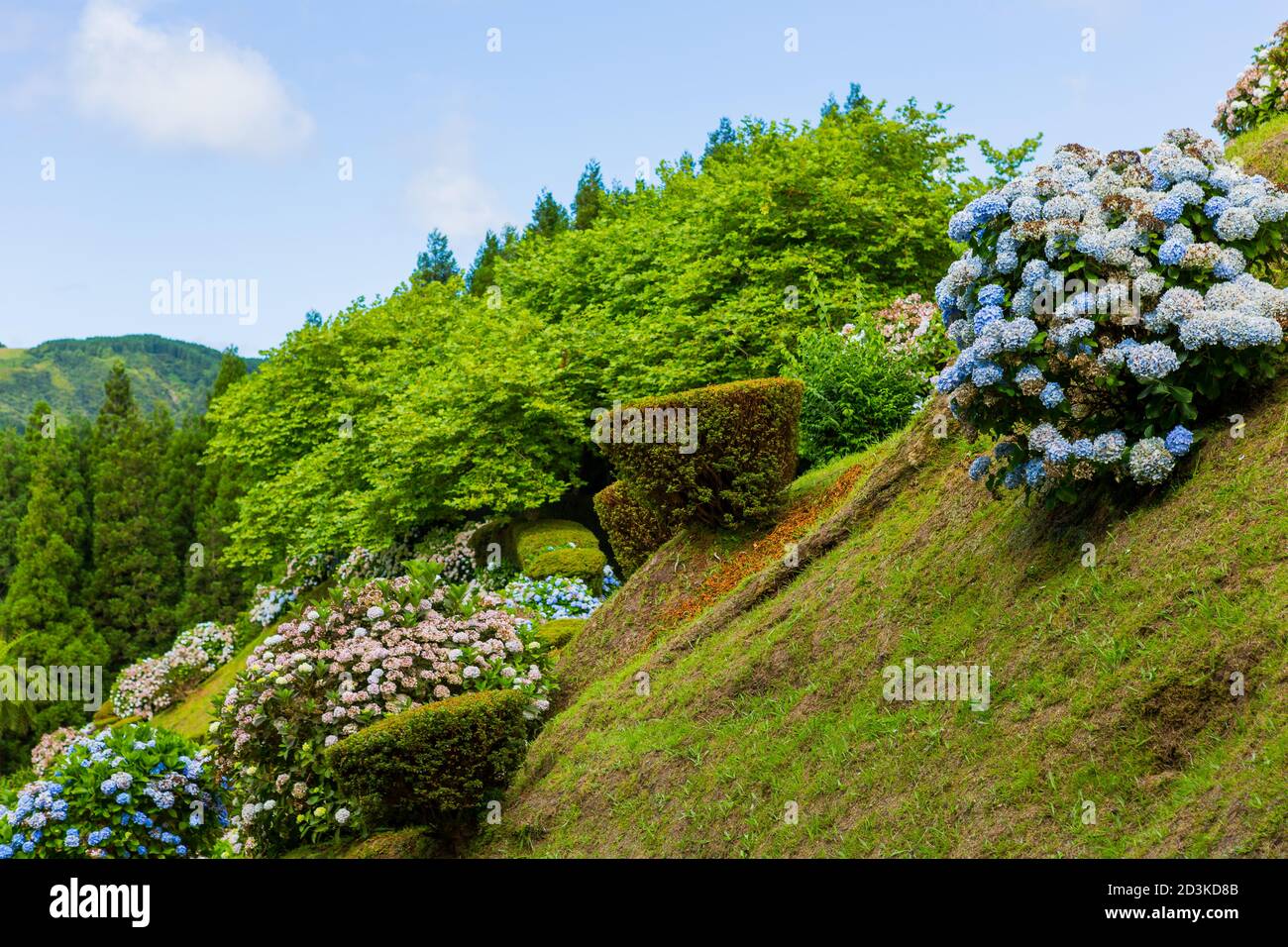 Beautiful landscape sceneries in Azores Portugal. Tropical nature in ...