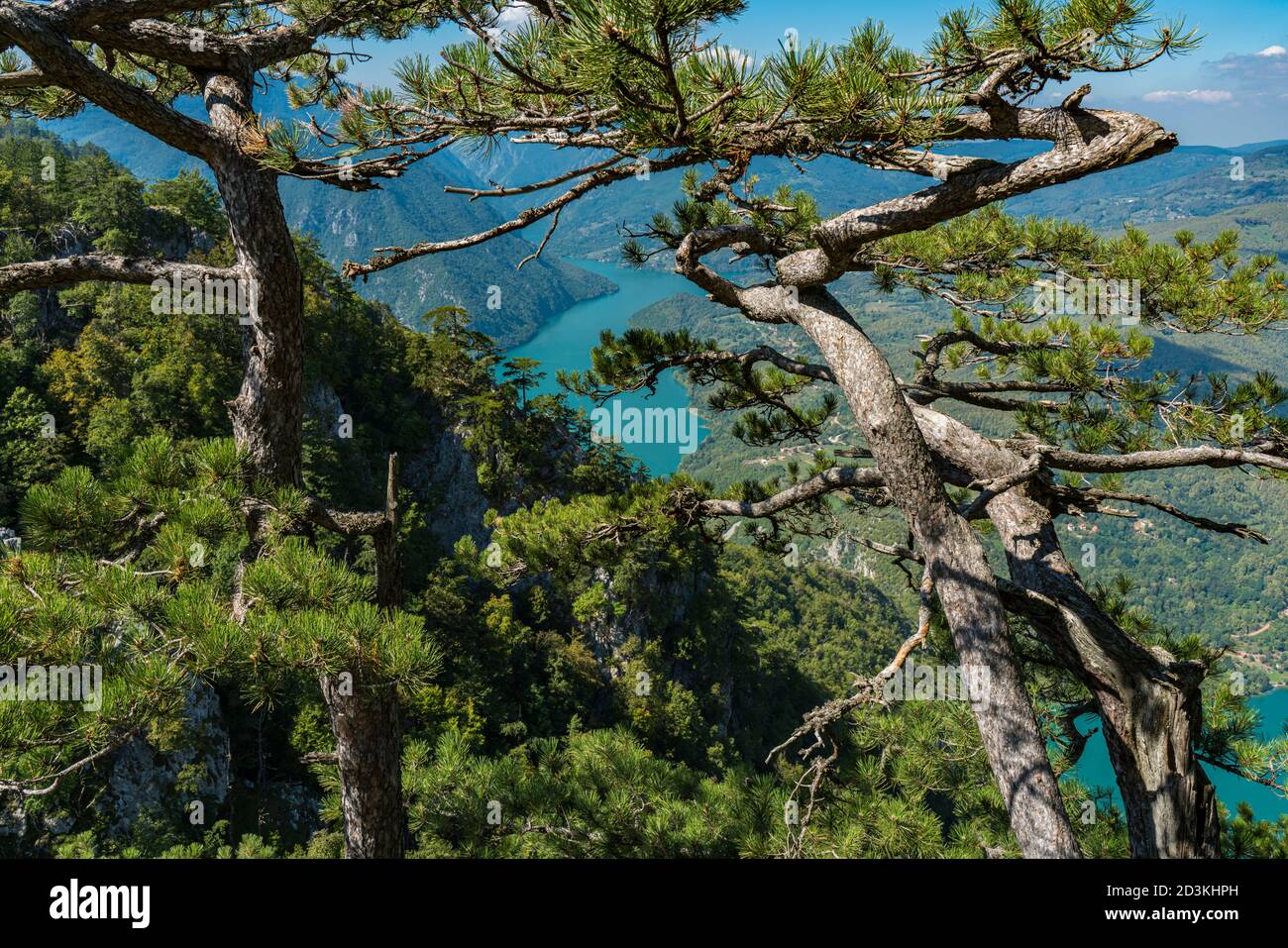 View at Perucac lake and river Drina from Tara mountain in Serbia Stock ...