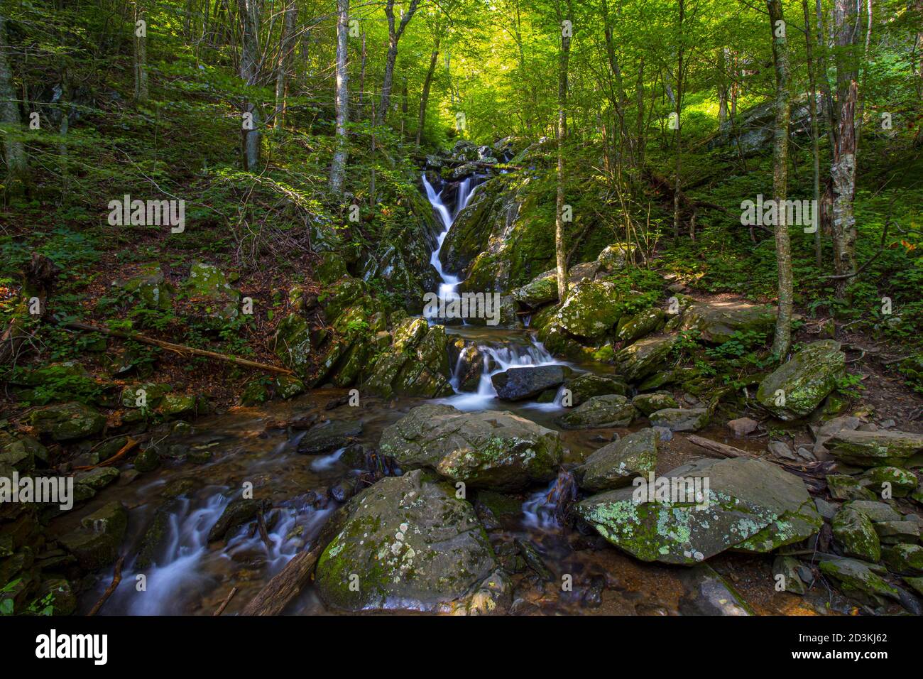 Waterfall moss shenandoah national park hi-res stock photography and ...