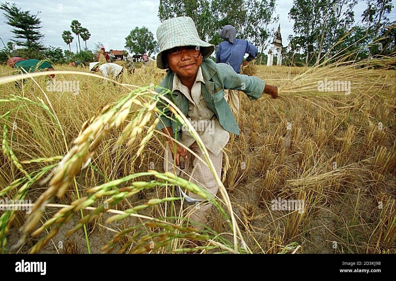 Cambodian Family Rice High Resolution Stock Photography and Images - Alamy
