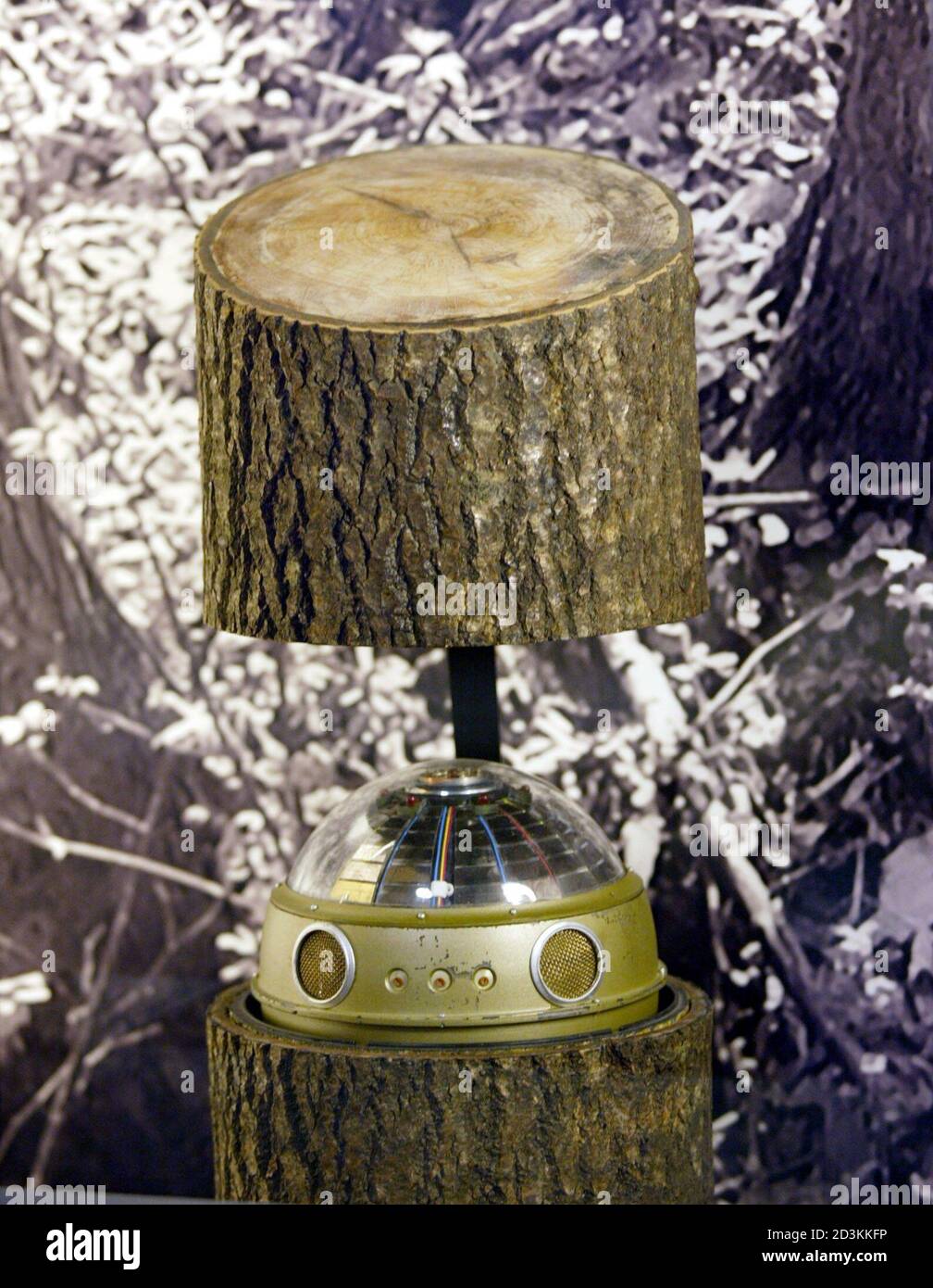 Spy tree stump hi-res stock photography and images - Alamy