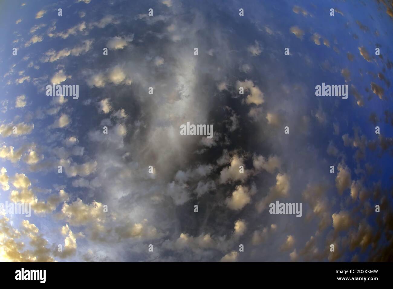 Blue spotty top hi-res stock photography and images - Alamy