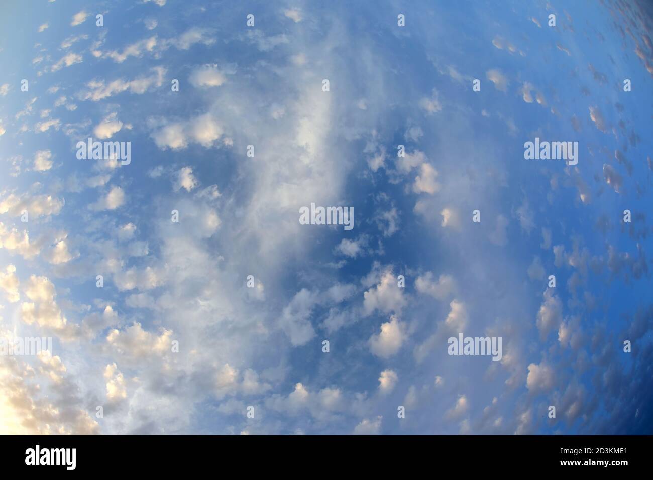 Blue spotty top hi-res stock photography and images - Alamy