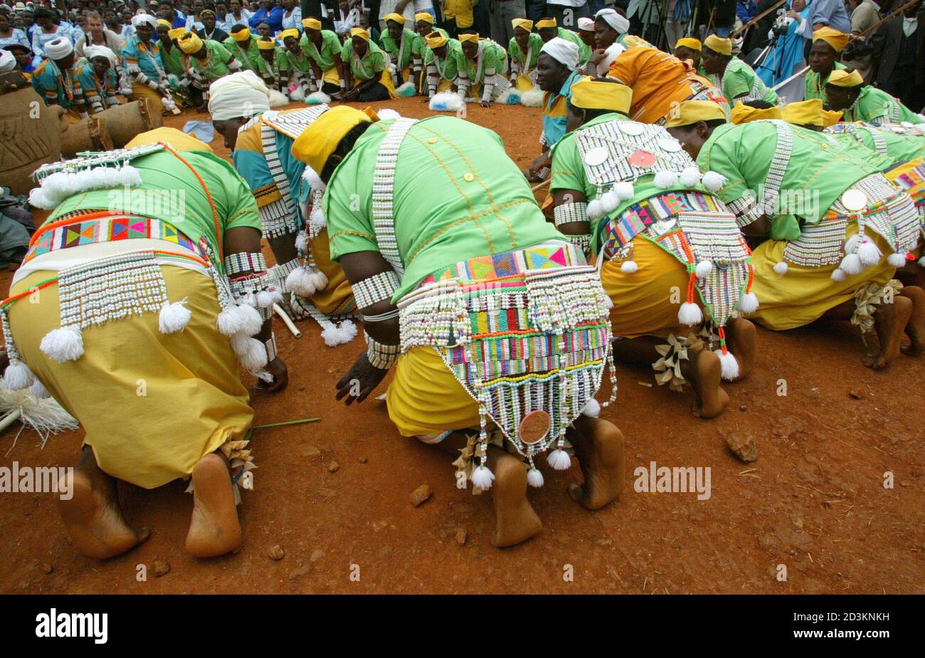 Modjadji High Resolution Stock Photography and Images - Alamy