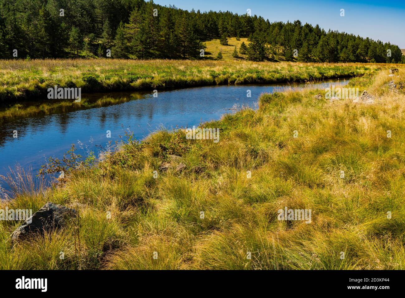 View at Crni Rzav river on Zlatibor mountain in Serbia Stock Photo - Alamy