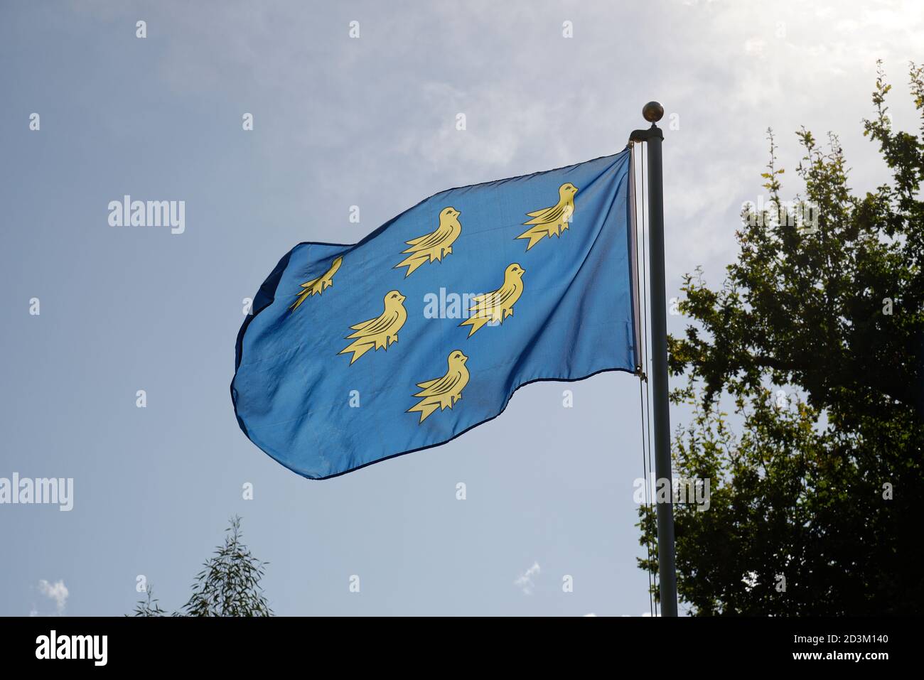 Gold martlets hi-res stock photography and images - Alamy