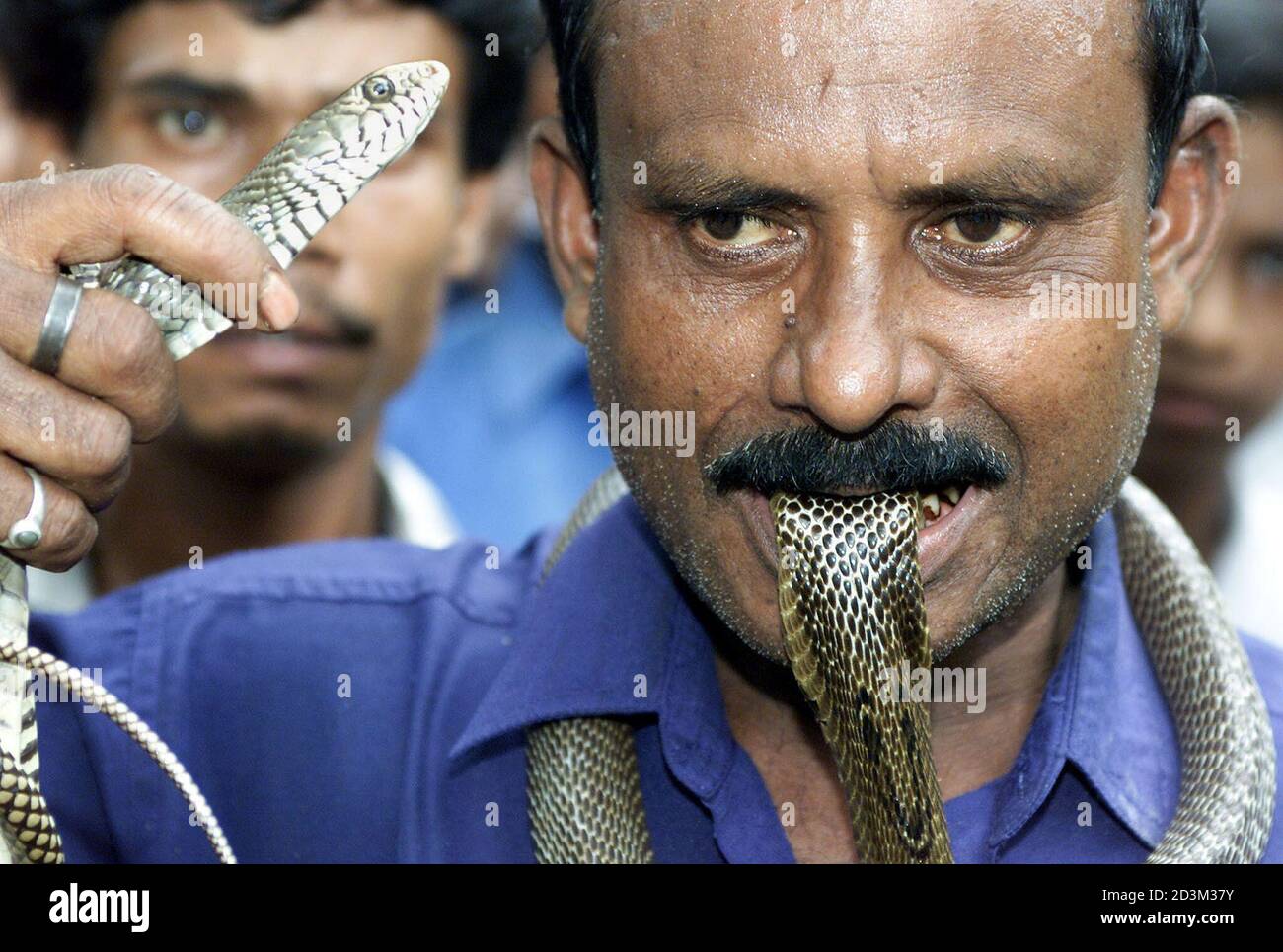 Hindu Goddess Of Snakes High Resolution Stock Photography and Images ...