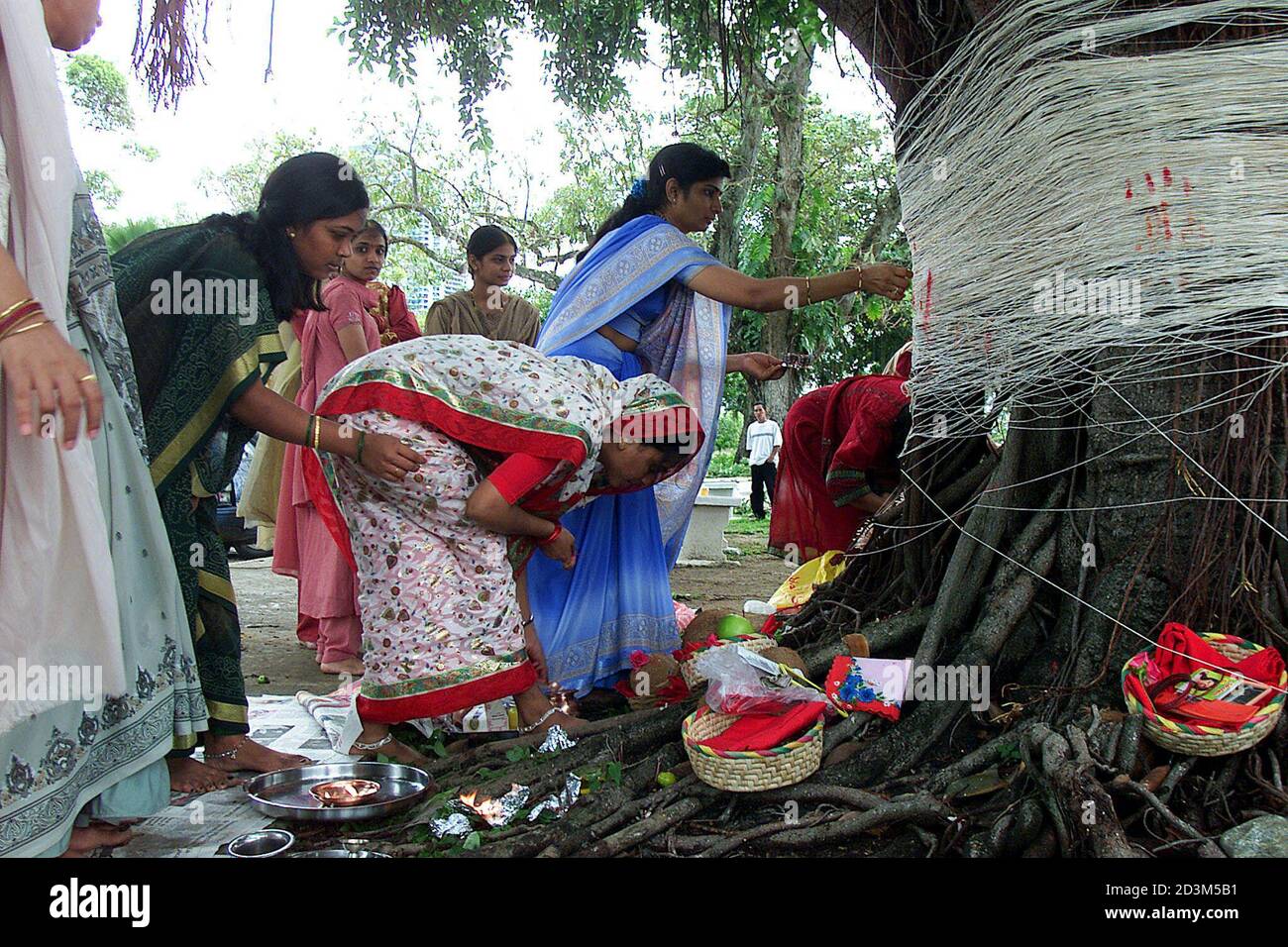 Banyan tree pooja hi-res stock photography and images - Alamy