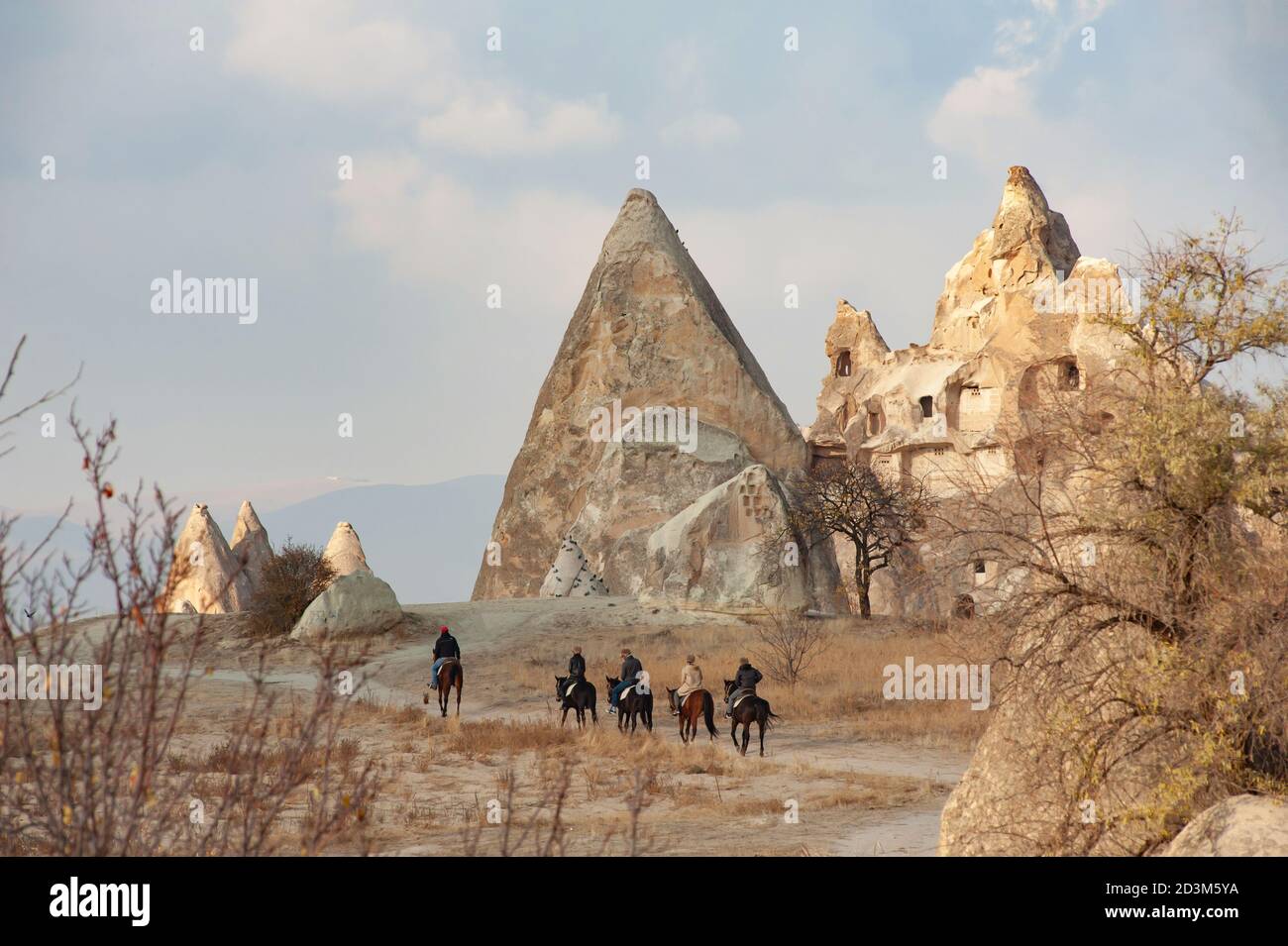 Canan a horse trekking guide from the Dalton Brothers Ranch leads a ...