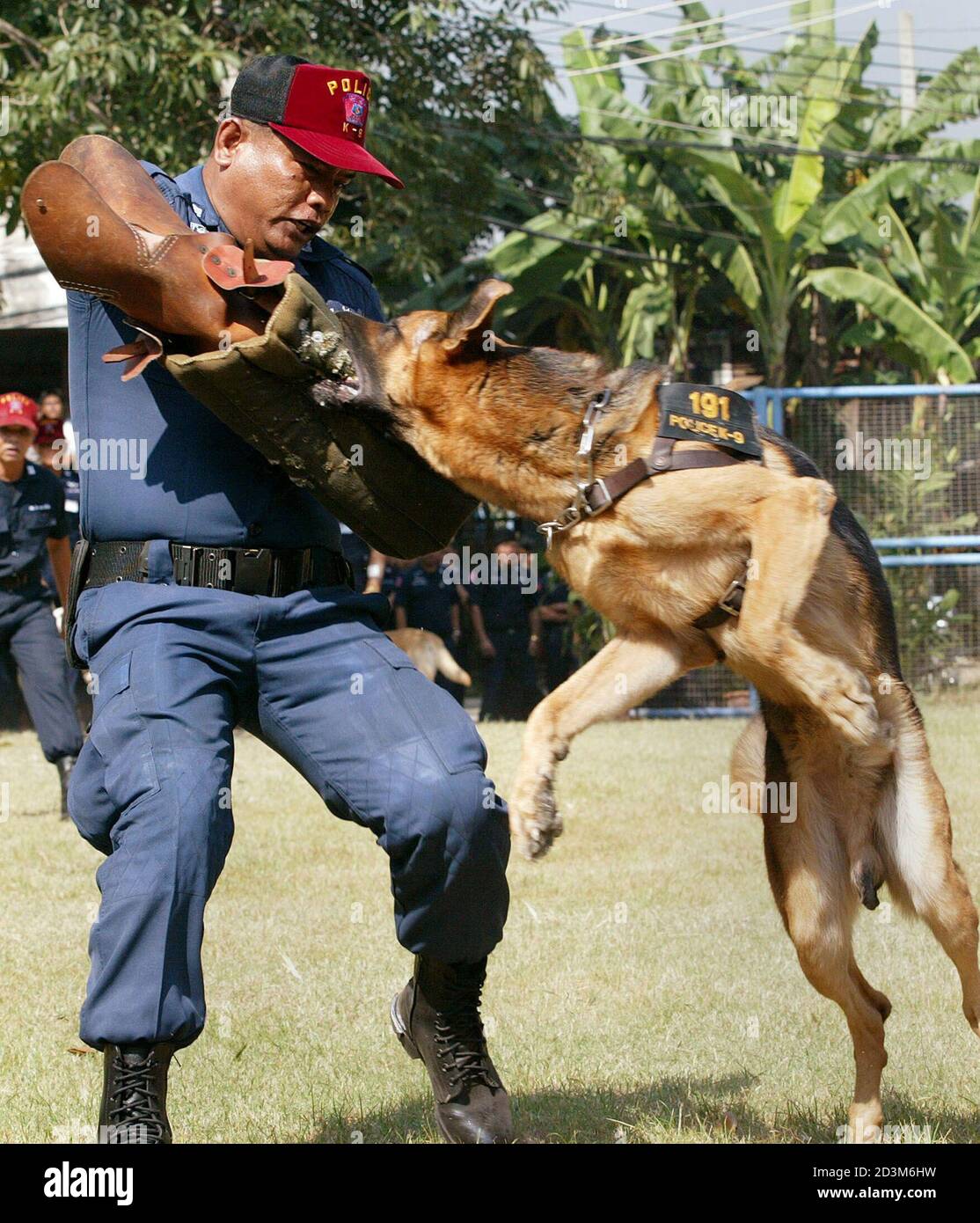 How Do Dogs Help Police
