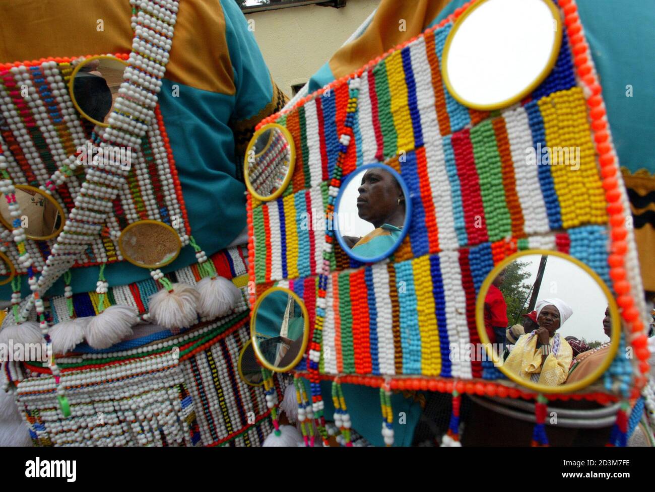 Modjadji High Resolution Stock Photography and Images - Alamy