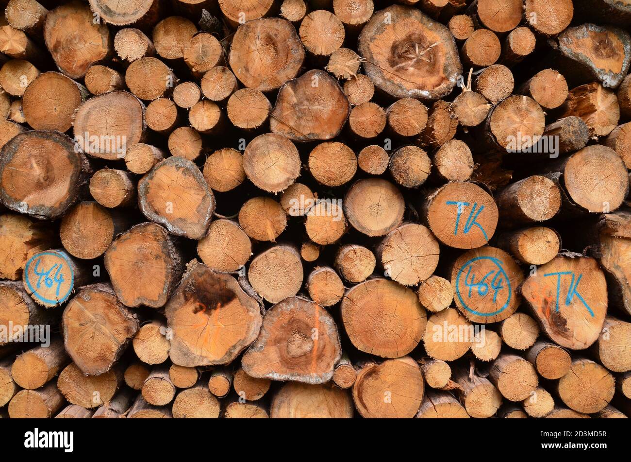 Wood storage pile hi-res stock photography and images - Alamy