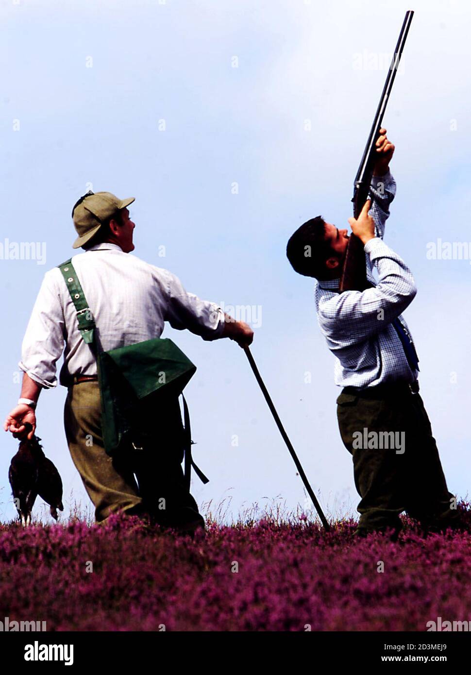 The start of the grouse shooting season hi-res stock photography and ...