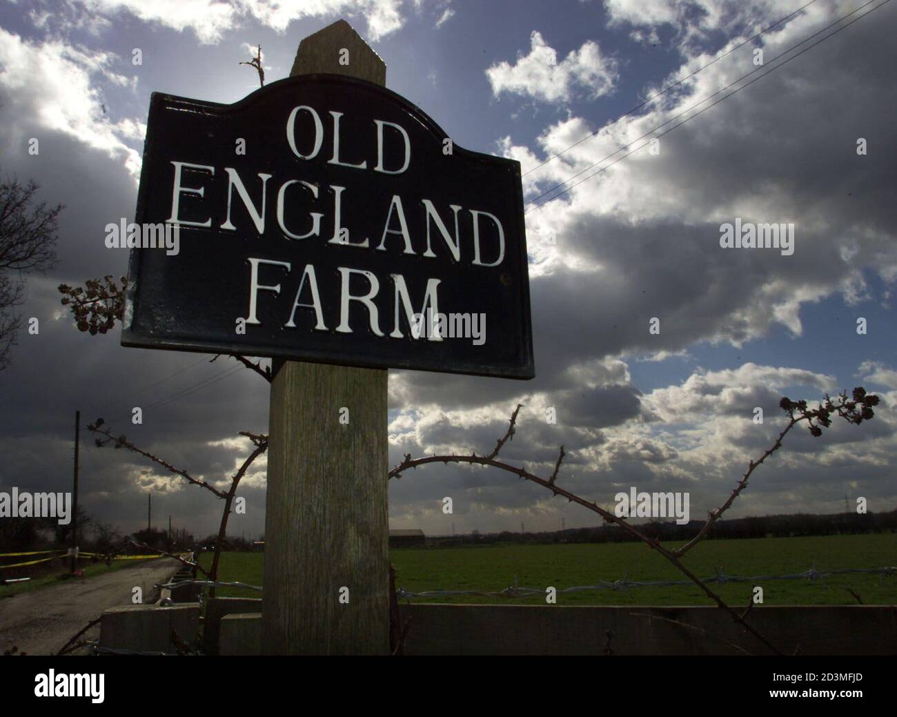 Abattoir england hi-res stock photography and images - Alamy