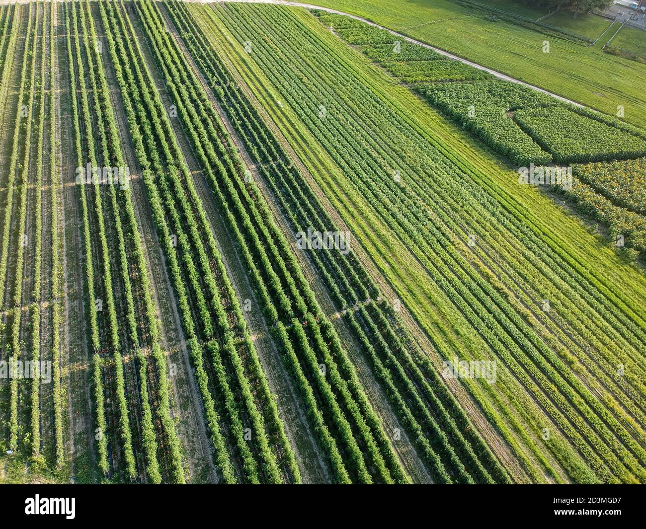 Aerial view of Verrill Farm, Concord, MA. Over 100 years of sustainable ...