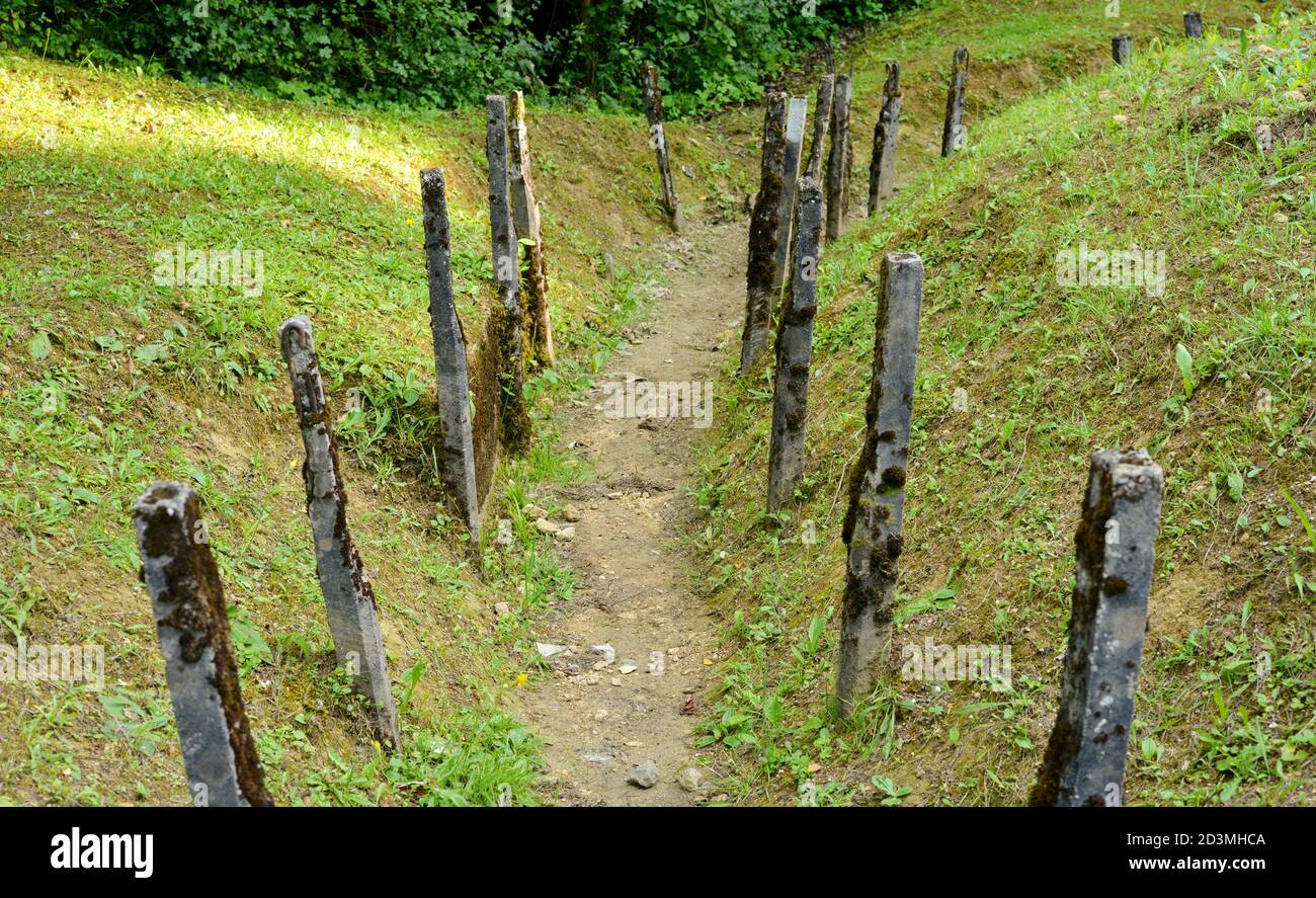 World war one militar hi-res stock photography and images - Alamy