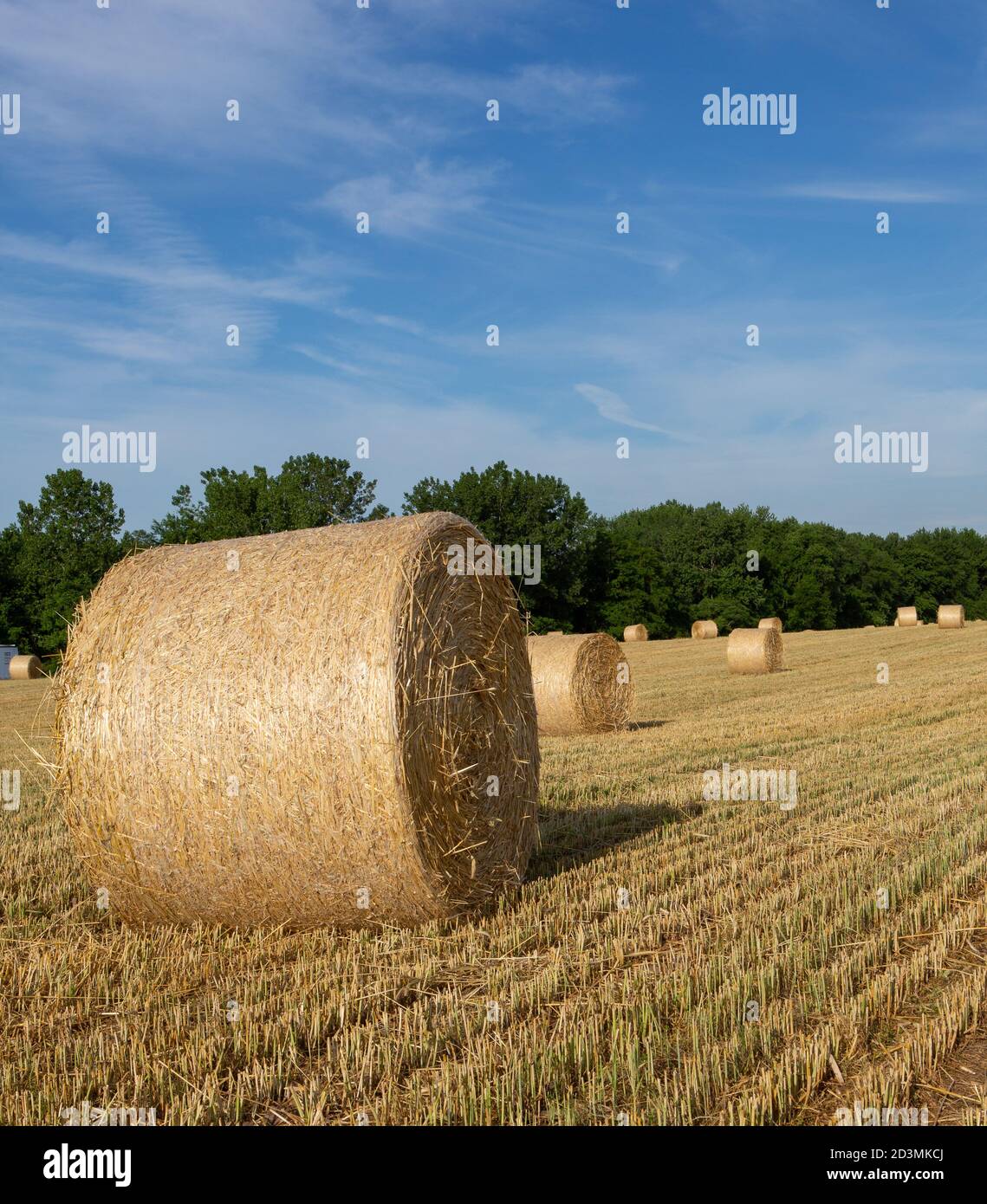 Bales hay hi-res stock photography and images - Alamy