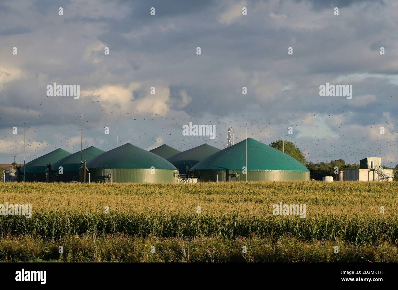 Biogasanlage deutschland hi-res stock photography and images - Alamy