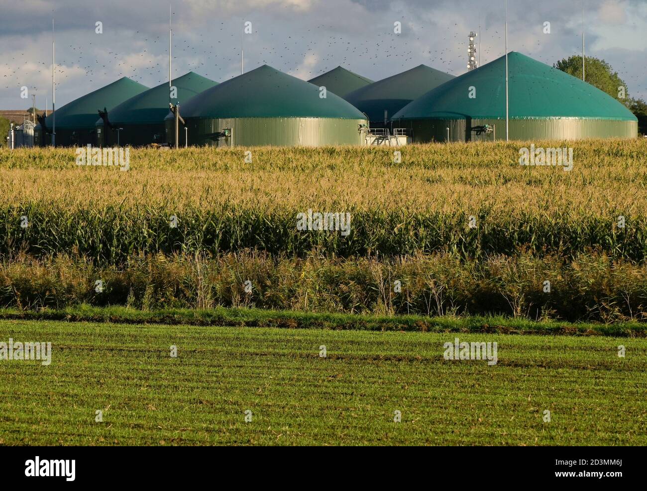 Biogas biogas plant hi-res stock photography and images - Alamy