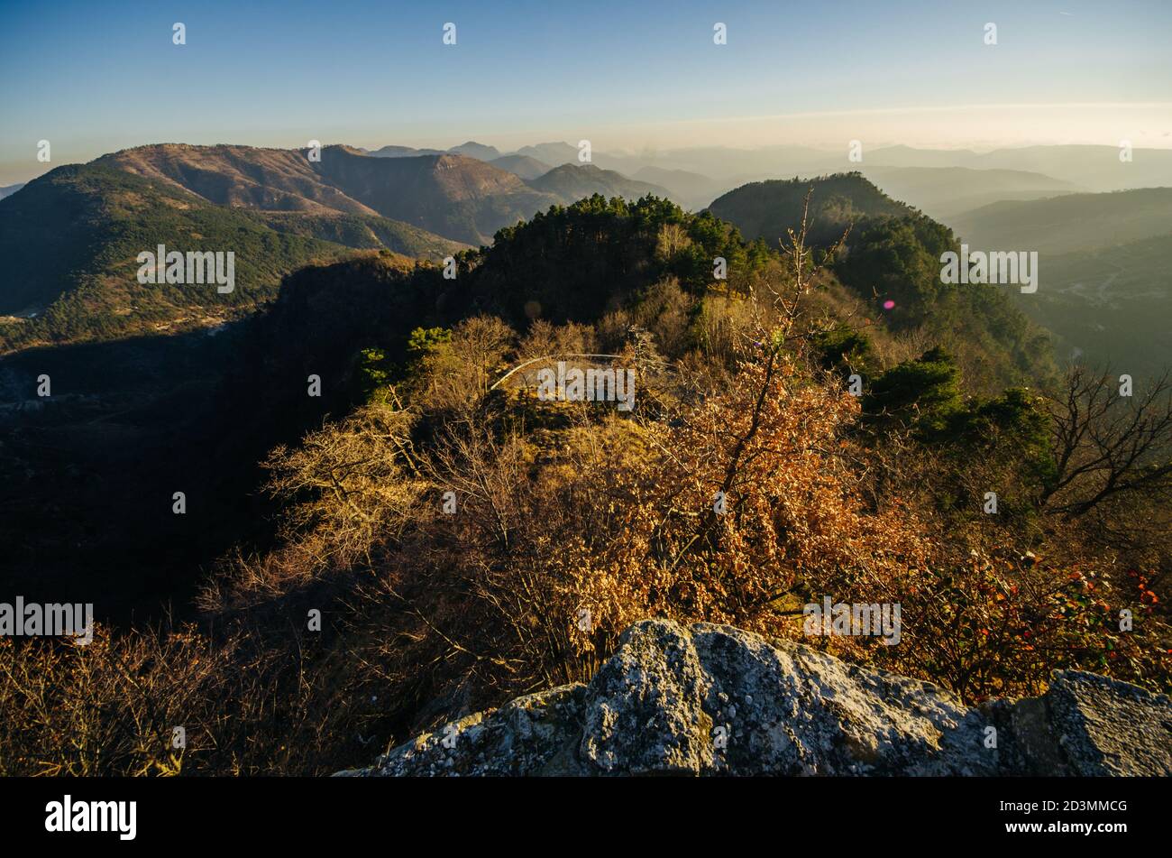 Turini forest hi-res stock photography and images - Alamy