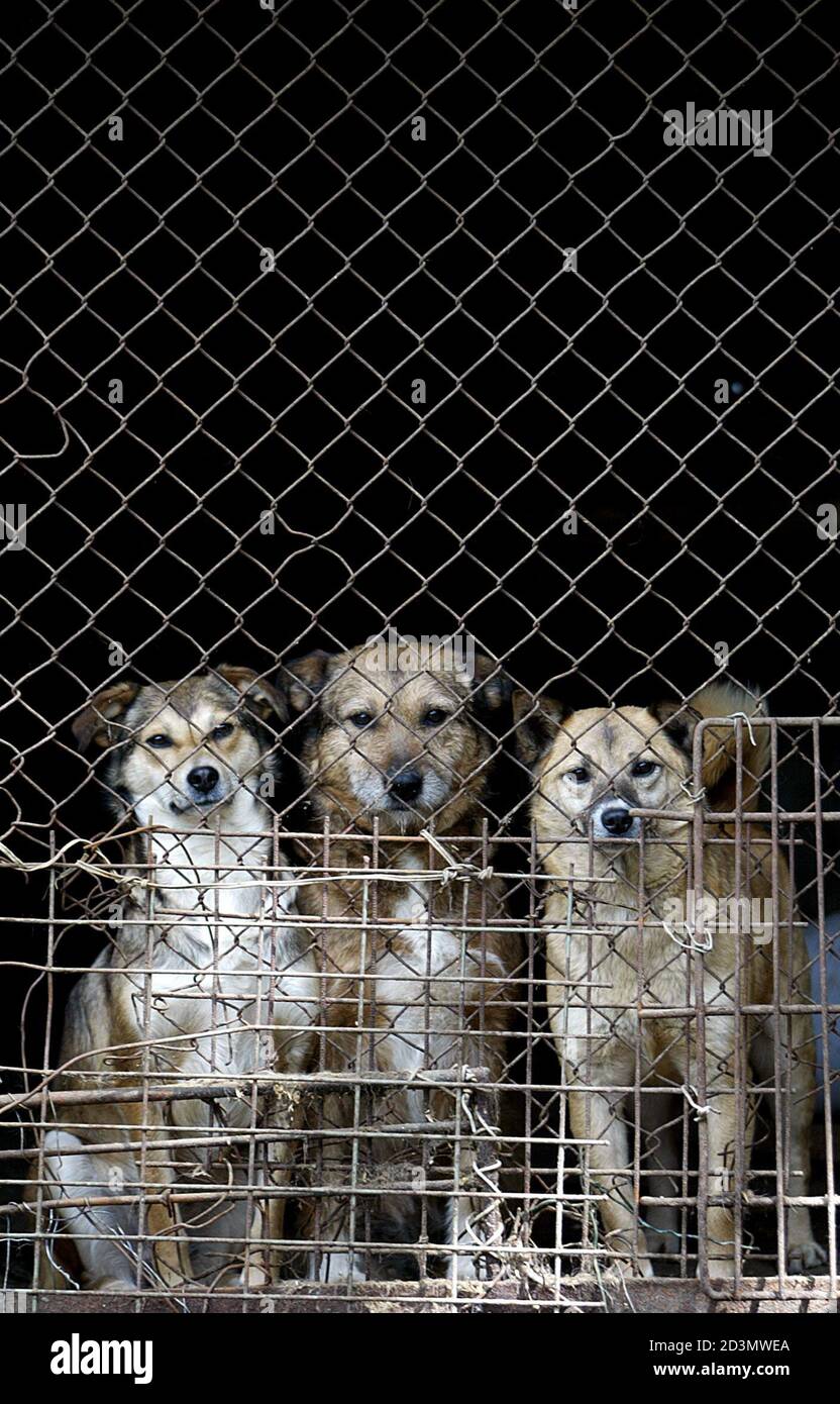 Poor facilities hi-res stock photography and images - Alamy