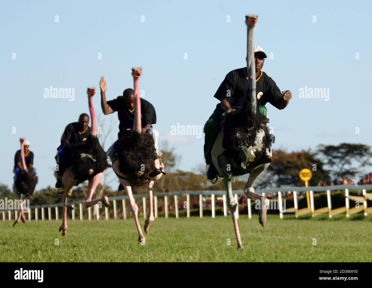 Ngong race course hi-res stock photography and images - Alamy