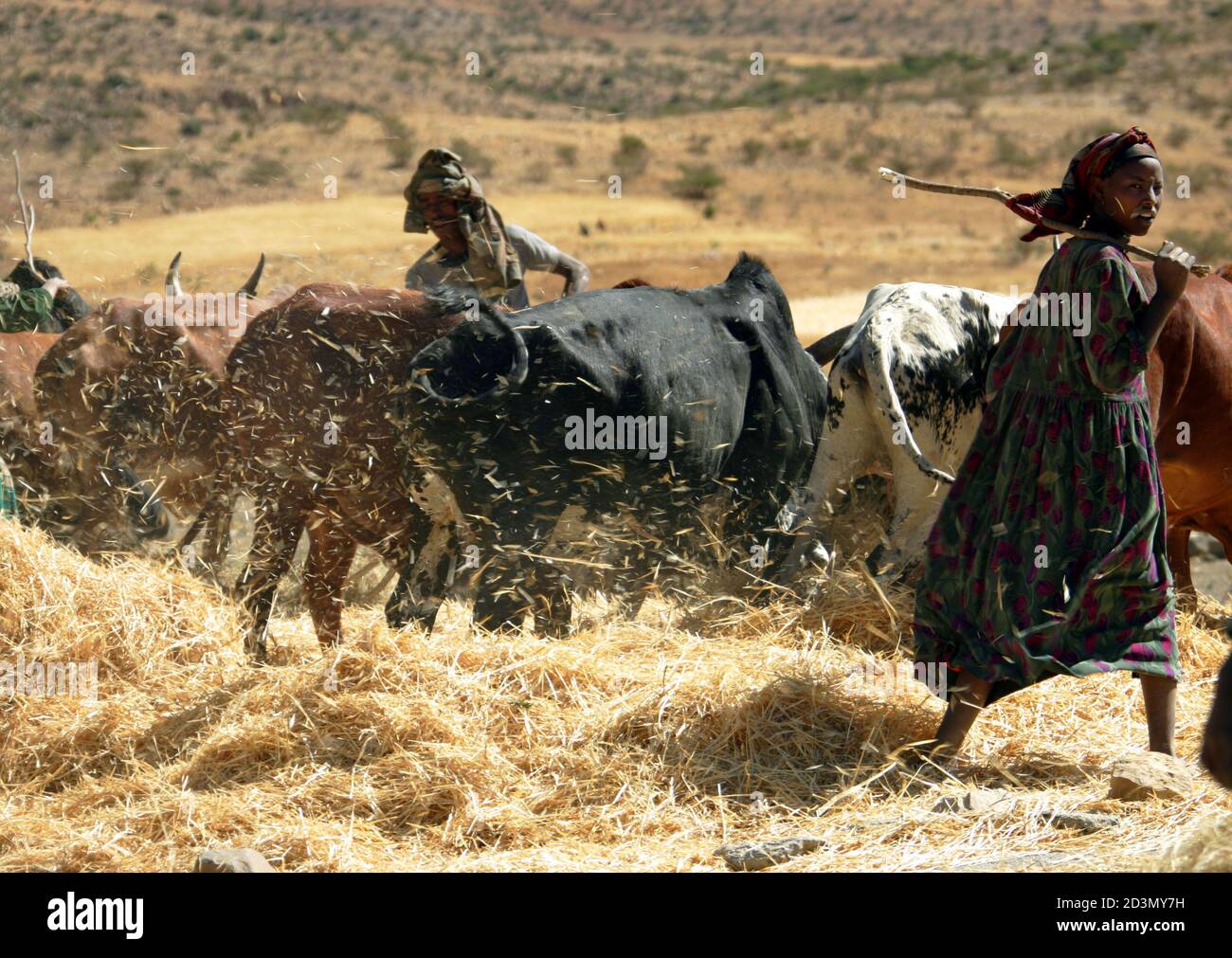 Incident technique hi-res stock photography and images - Alamy