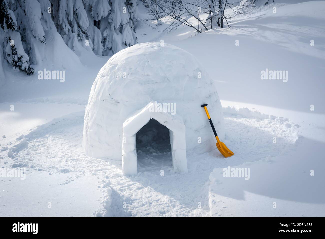 Real Igloo Homes