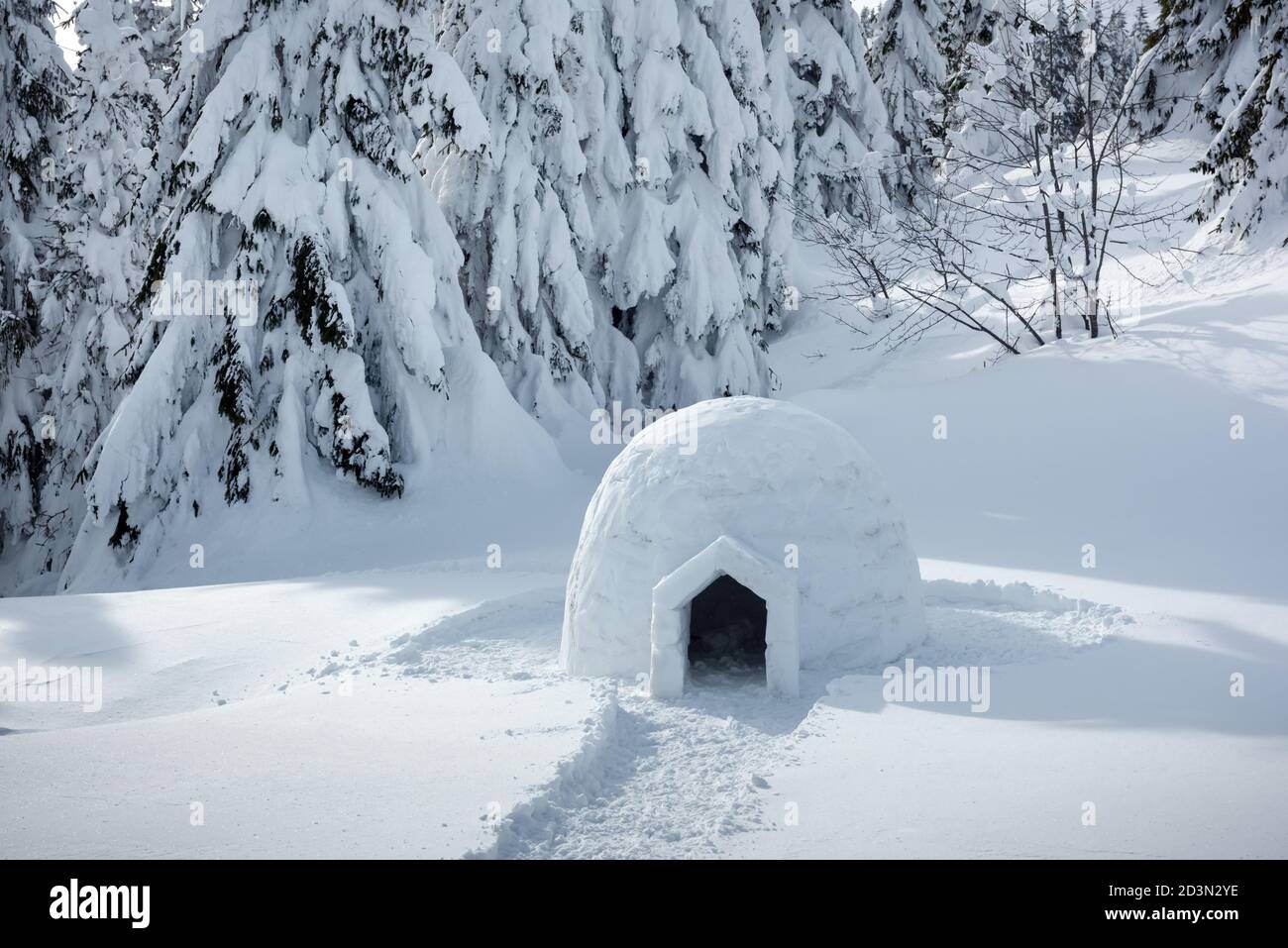 Real snow igloo house in the winter Carpathian mountains. Snow-covered ...