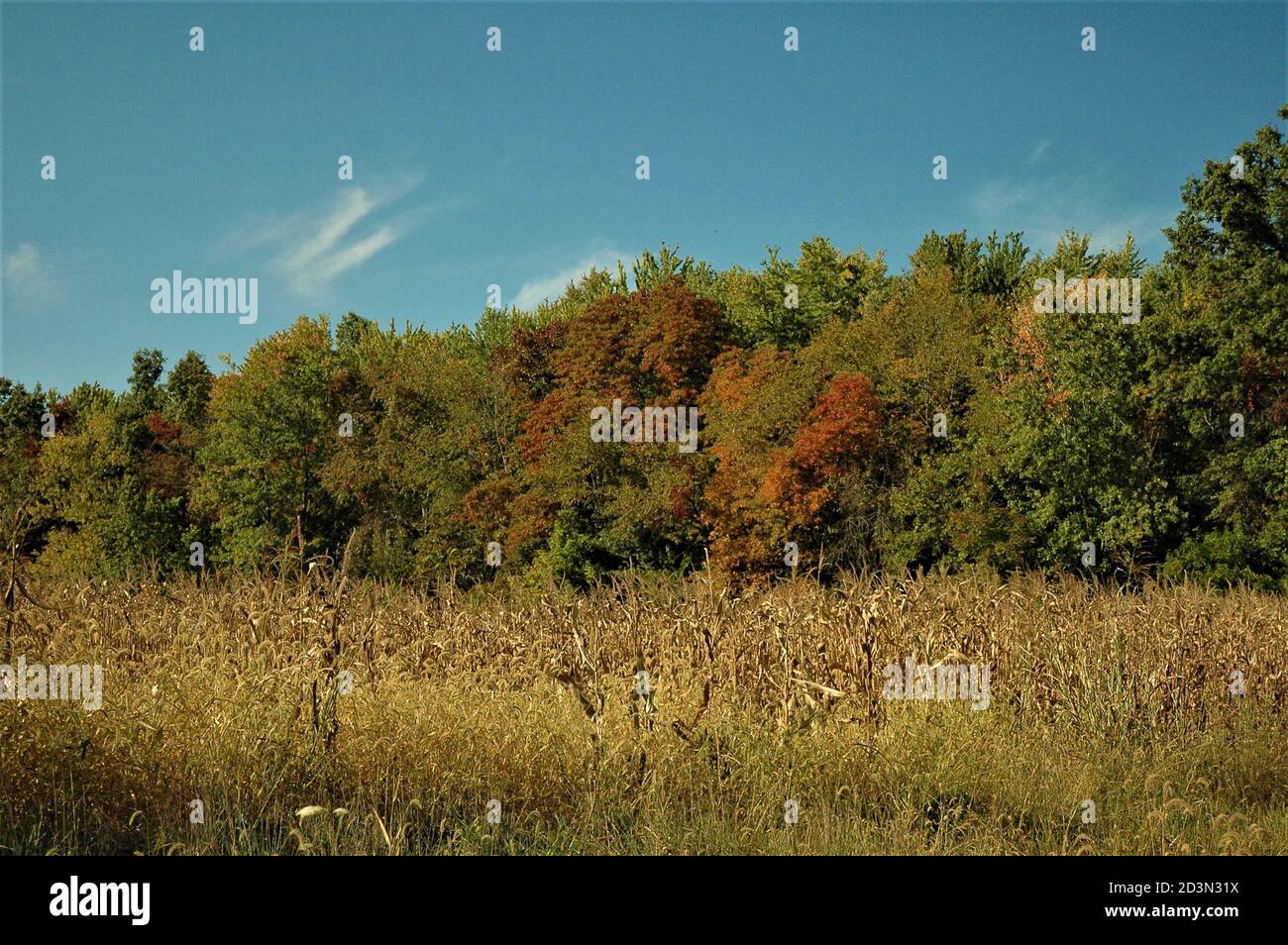 October Scenes One Stock Photo - Alamy