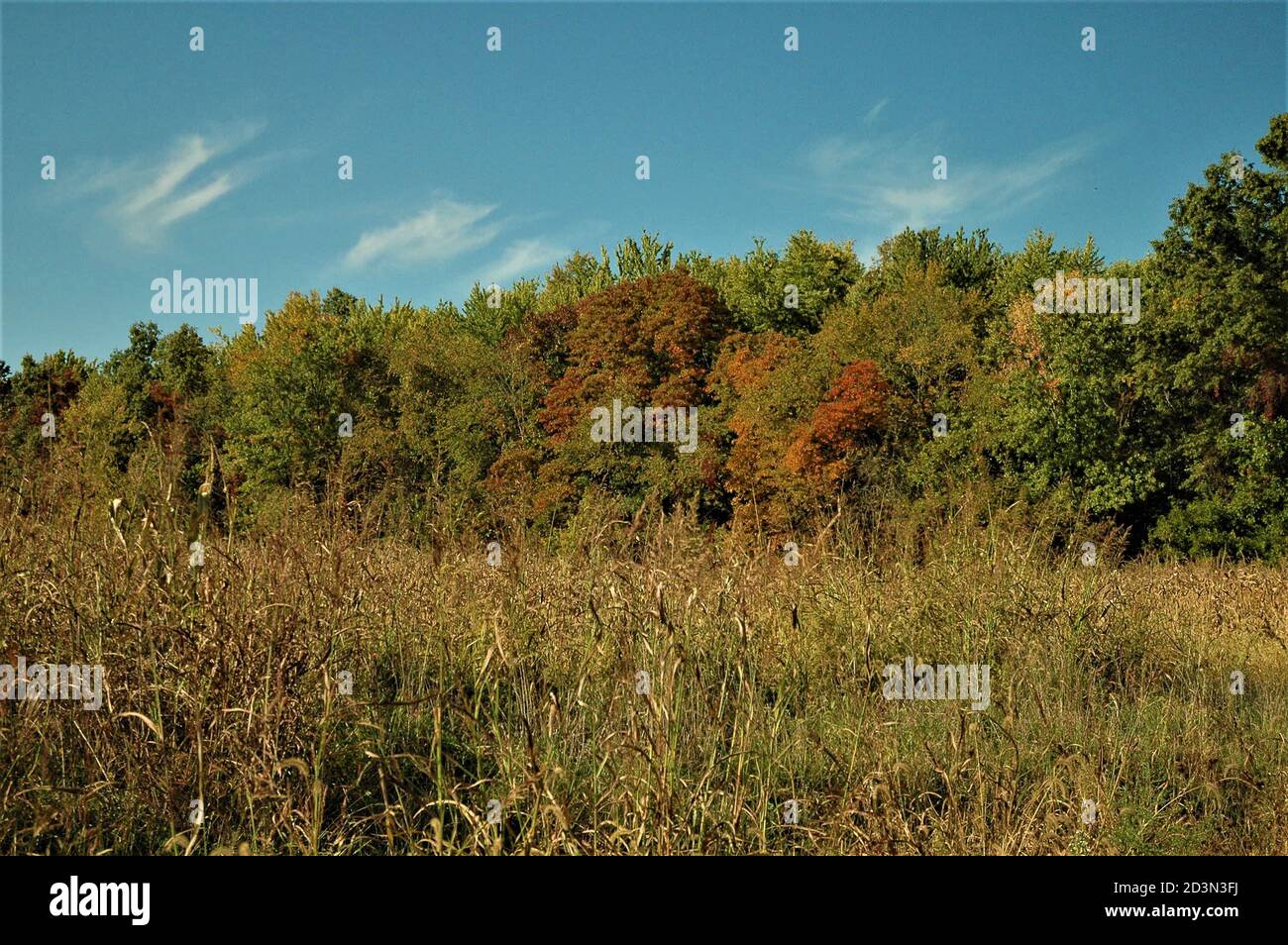 October Scenes One Stock Photo - Alamy