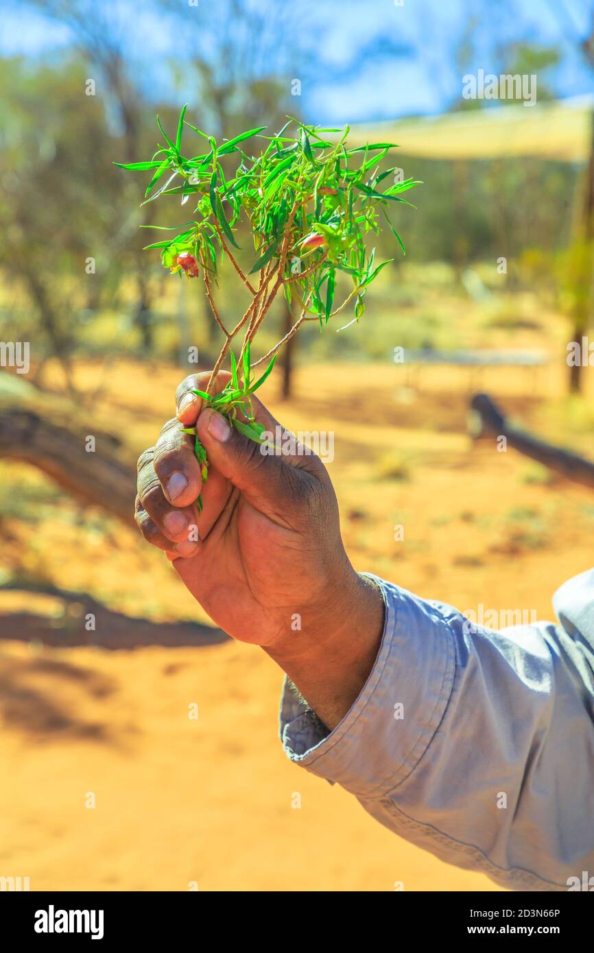 Aboriginal australia ceremony hi-res stock photography and images - Alamy