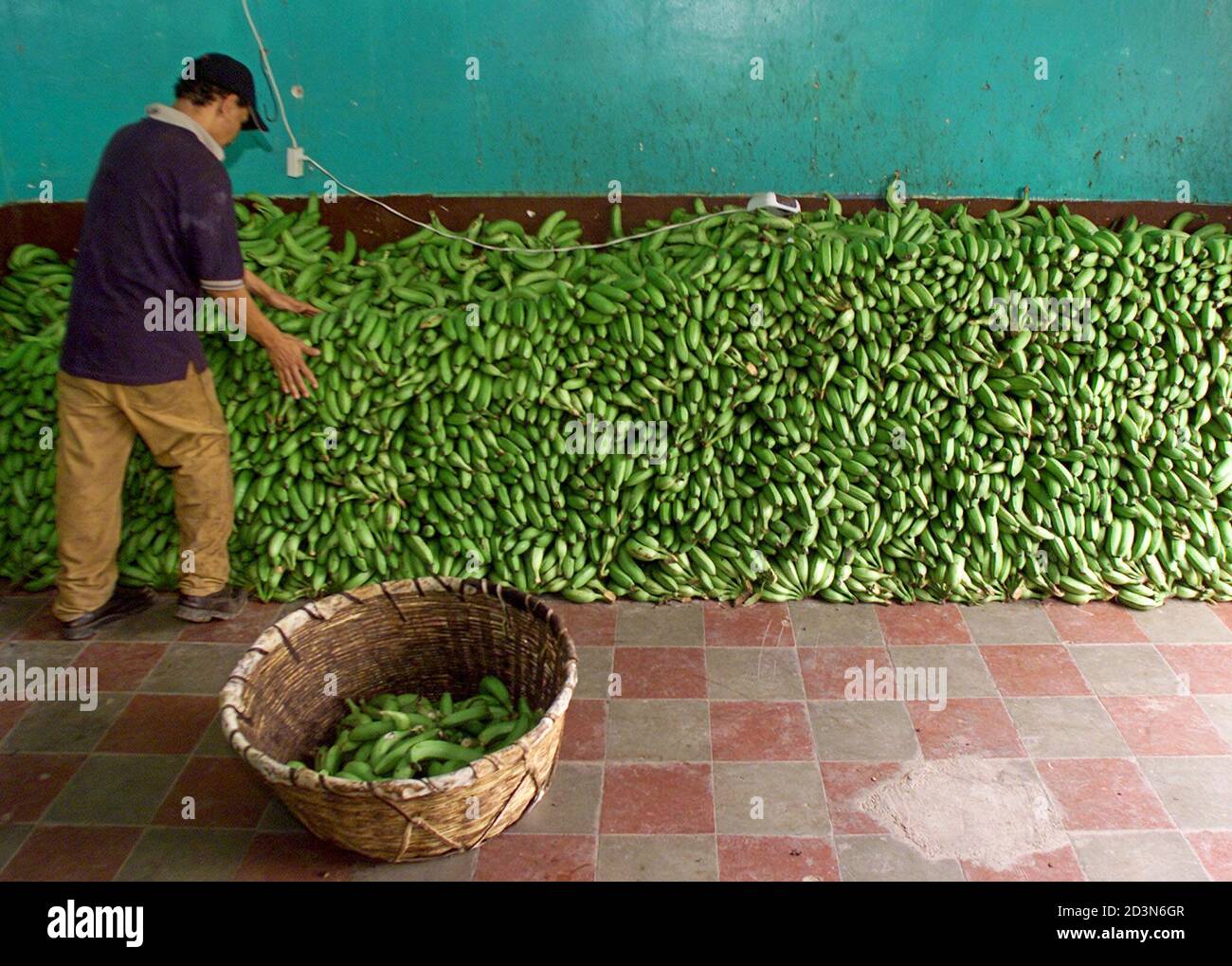 Honduras bananas hi-res stock photography and images - Alamy