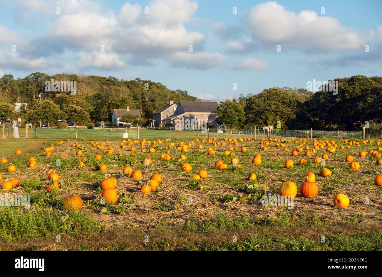 Cape cod house field hi-res stock photography and images - Alamy