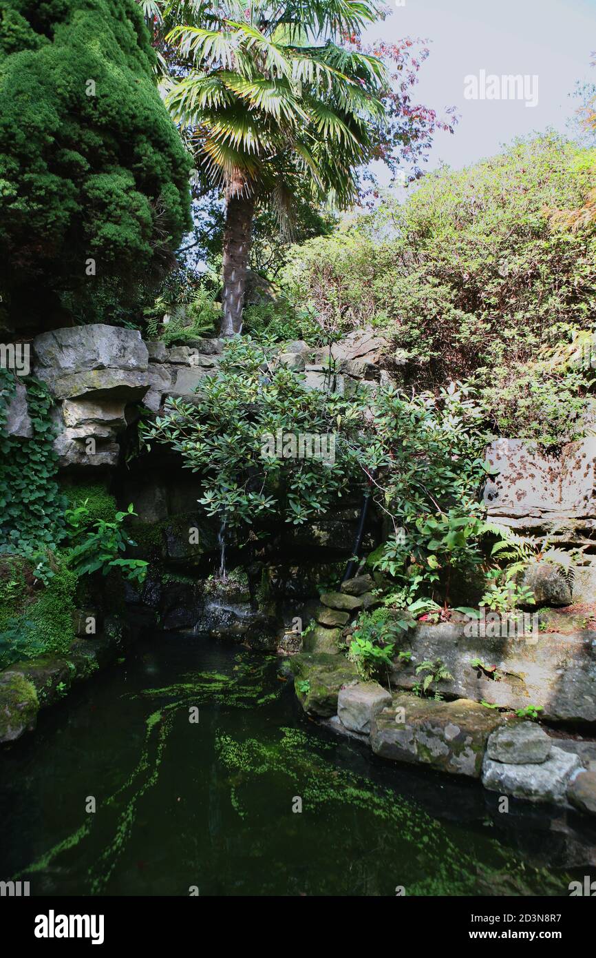 Rock pool garden hi-res stock photography and images - Alamy