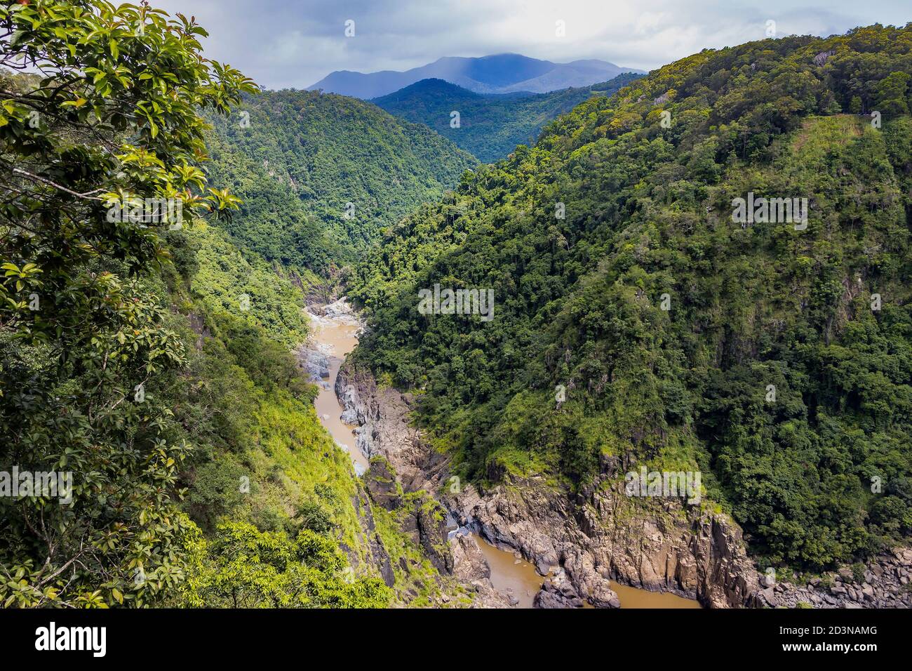 An aerial view of the Barron river in its course between rainforest ...