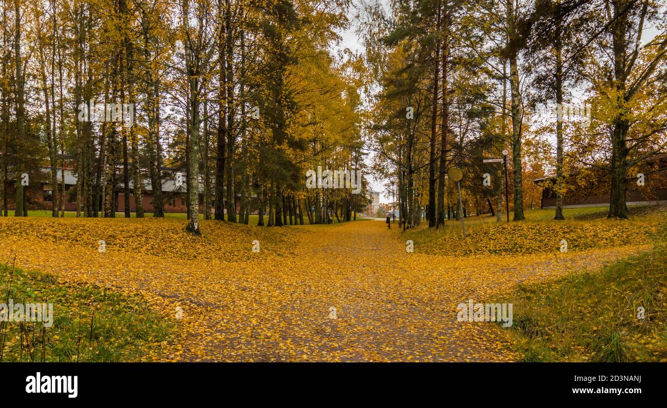 Wonderful colors hi-res stock photography and images - Alamy