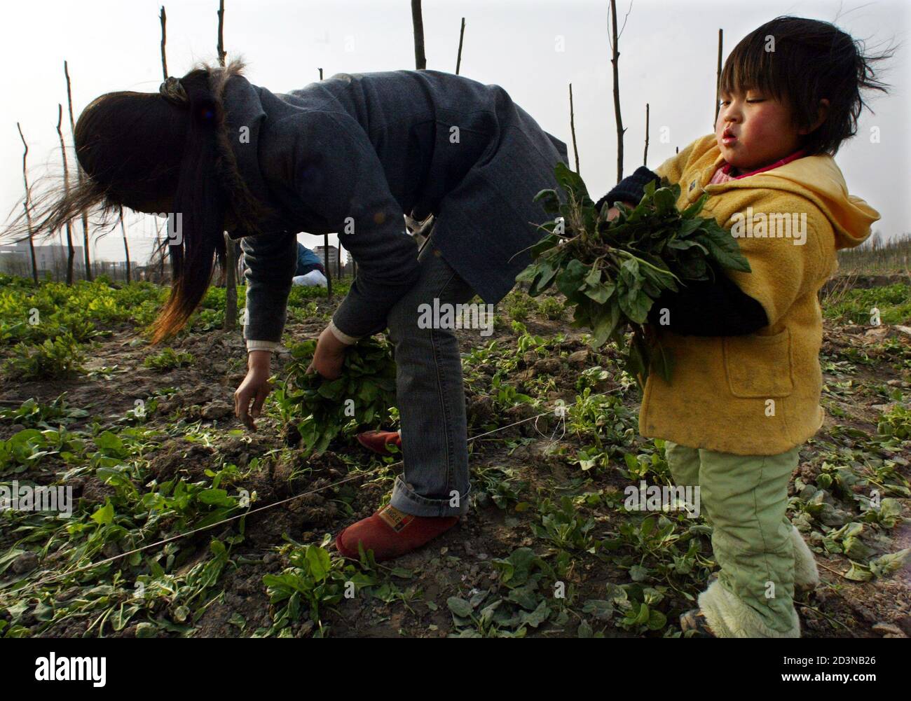 Chinese Poor Girl High Resolution Stock Photography and Images - Alamy