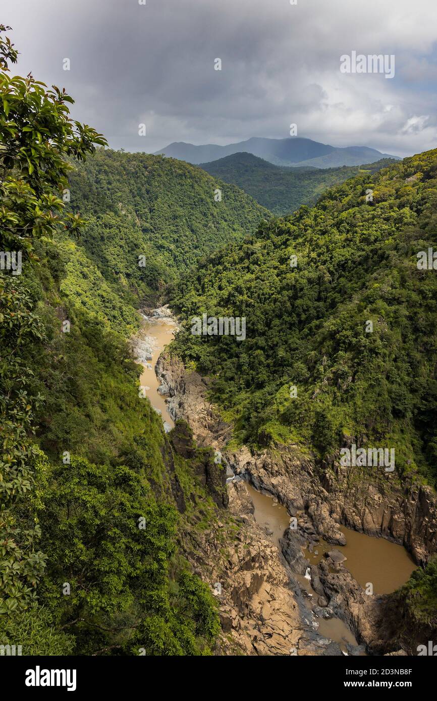 An aerial view of the Barron river in its course between rainforest ...