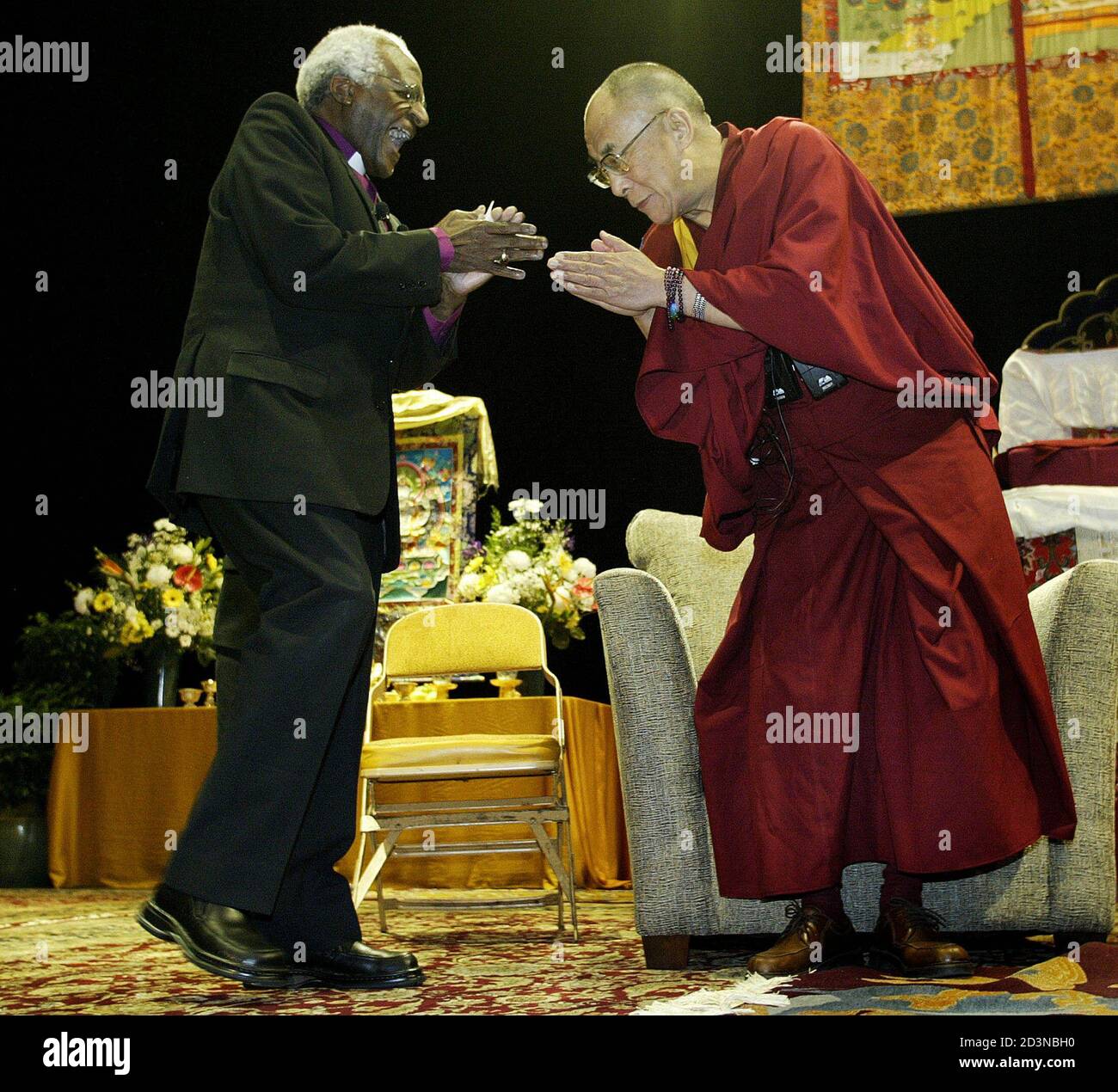 African lama hi-res stock photography and images - Alamy