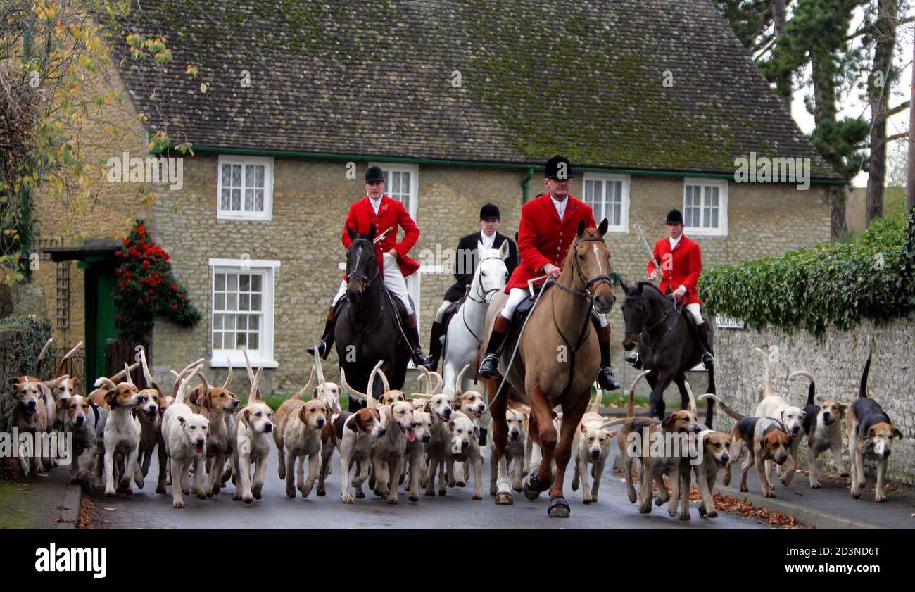 Bicester And Whaddon Hunt High Resolution Stock Photography and Images ...
