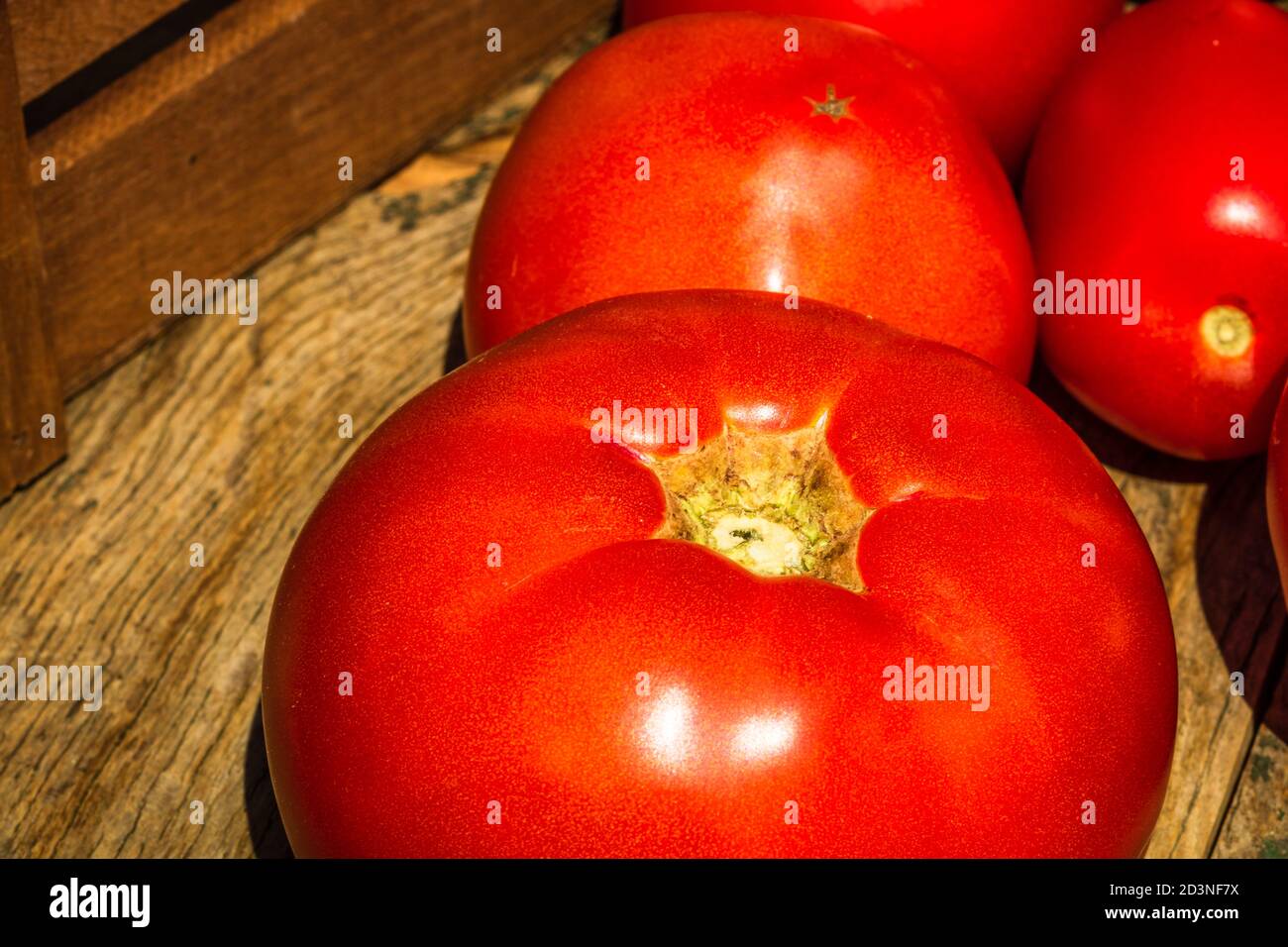 Close up of fresh ripe tomatoes isolated in a rustic composition Stock ...