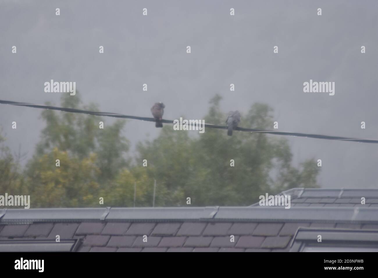 Rainy countryside hi-res stock photography and images - Alamy